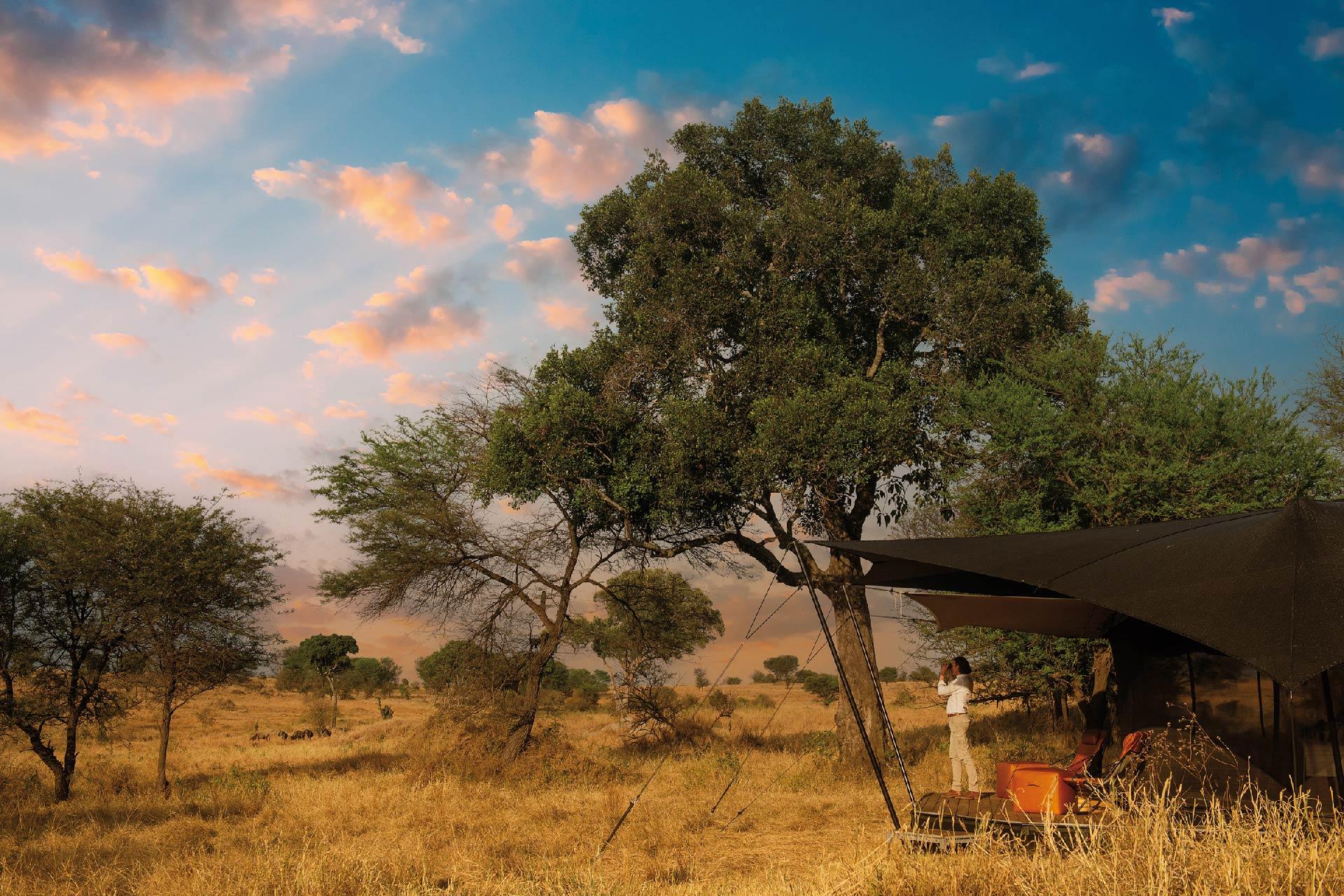 Siringit Migration Camp • a front row seat to the Migration
